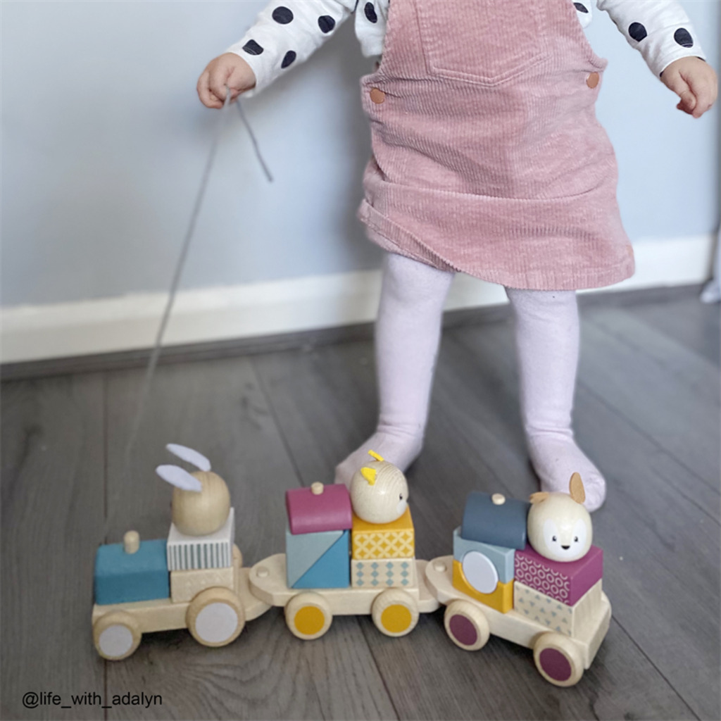 Bigjigs - Activity Pull Along Train - FSC 100% - Toy Dubai (Toys MENA LLC)