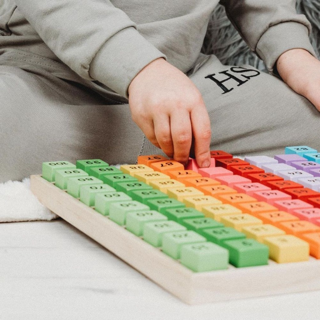 Bigjigs - Number Tray 1-100 - Toy Dubai (Toys MENA LLC)