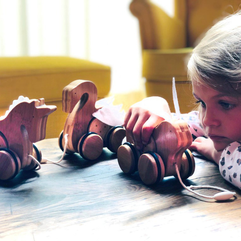 Push & Pull Rabbit - Bamboo - Toy Dubai (Toys MENA LLC)