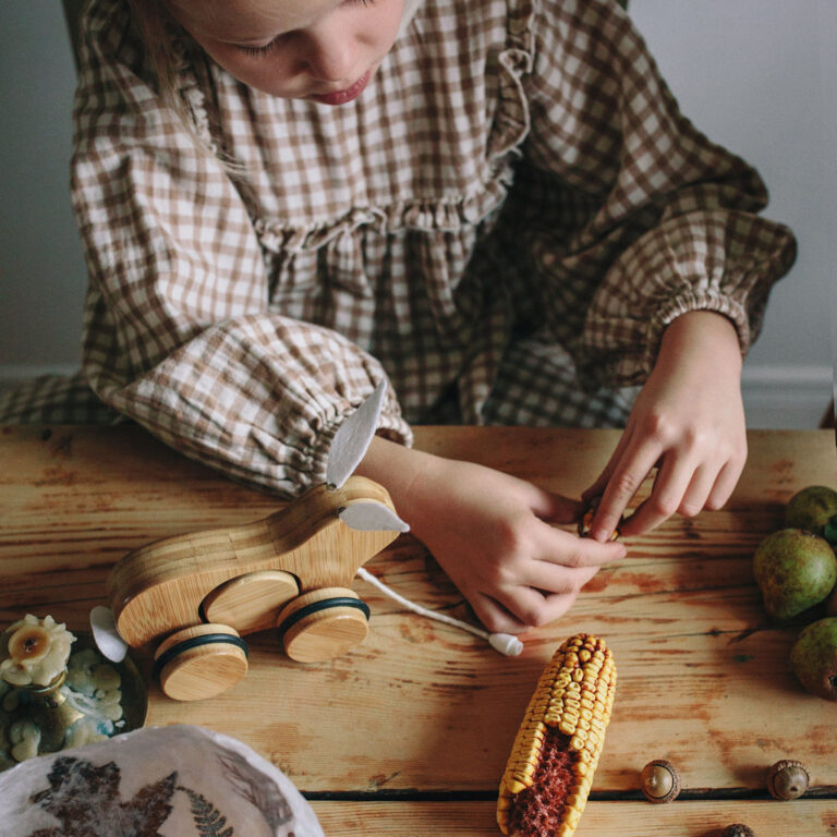 Push & Pull Rabbit - Bamboo - Toy Dubai (Toys MENA LLC)