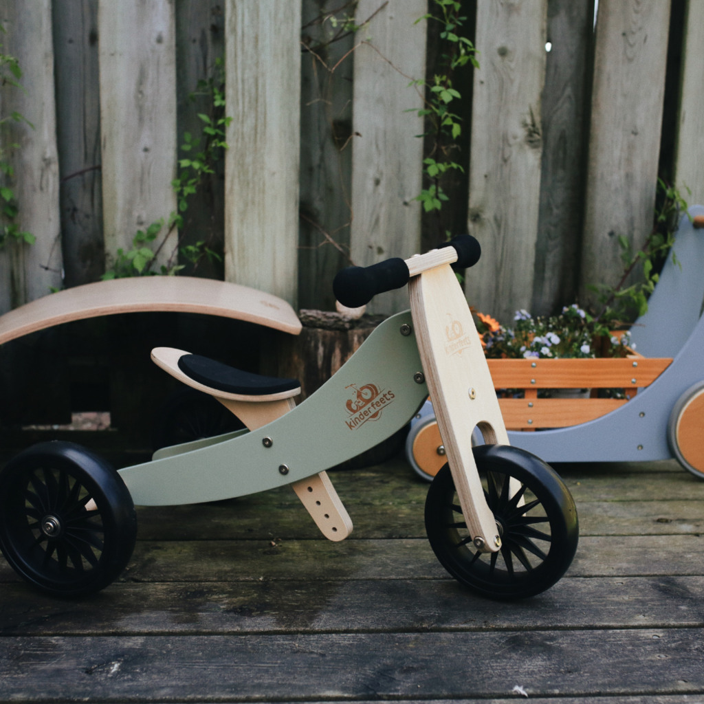 2-in-1 Tiny Tot PLUS Tricycle and Balance Bike - Silver Sage - Toy Dubai (Toys MENA LLC)
