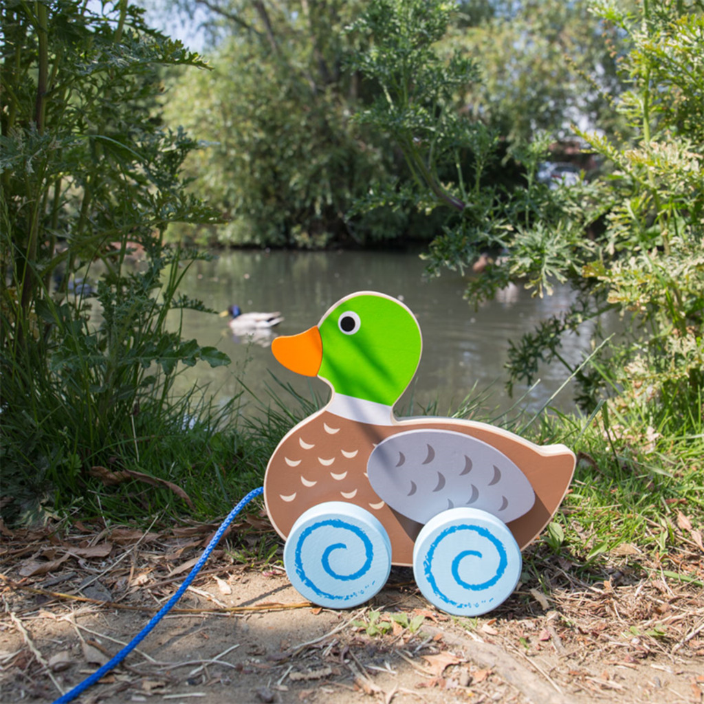 Bigjigs - Duck Pull Along - Toy Dubai (Toys MENA LLC)