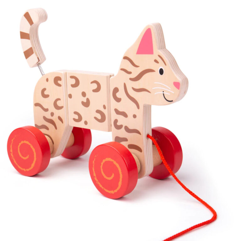 Bigjigs - Cat Pull Along - Toy Dubai (Toys MENA LLC)