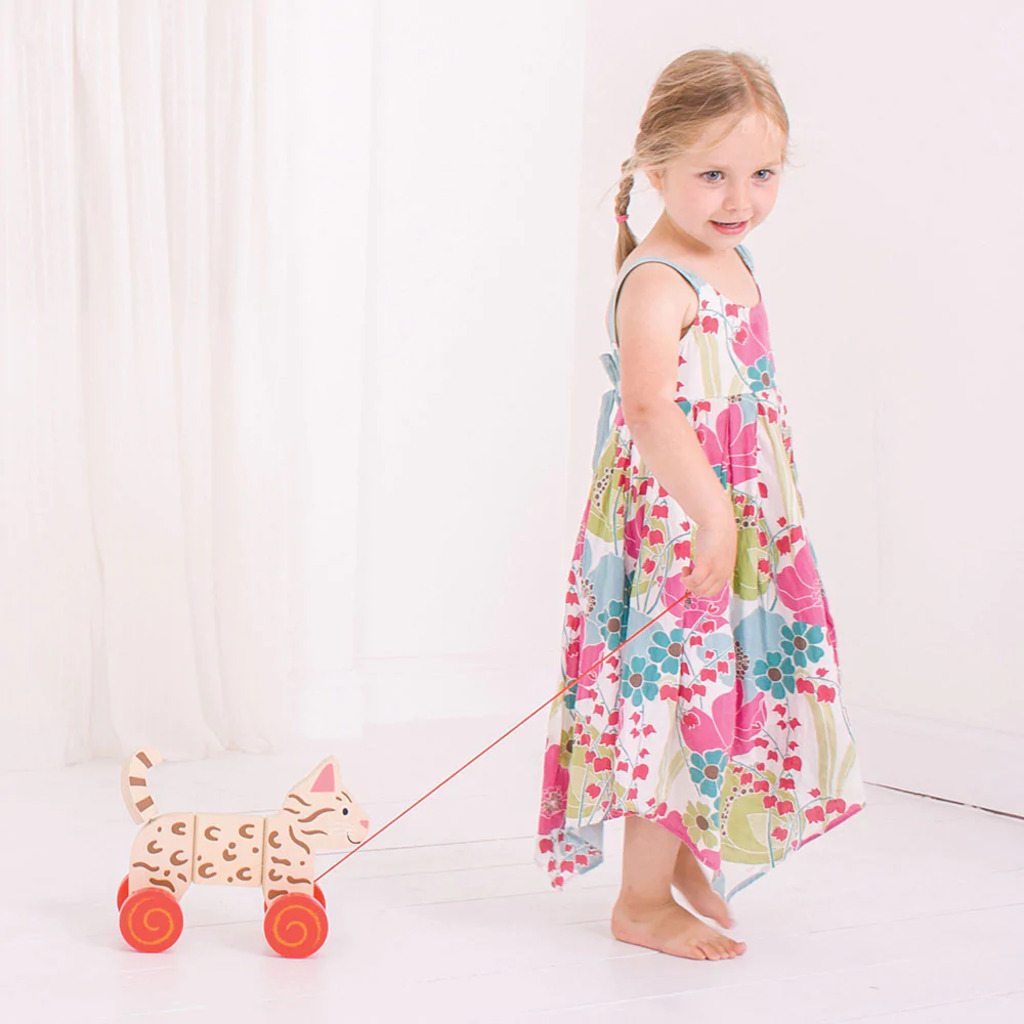 Bigjigs - Cat Pull Along - Toy Dubai (Toys MENA LLC)