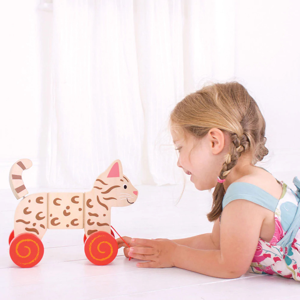 Bigjigs - Cat Pull Along - Toy Dubai (Toys MENA LLC)