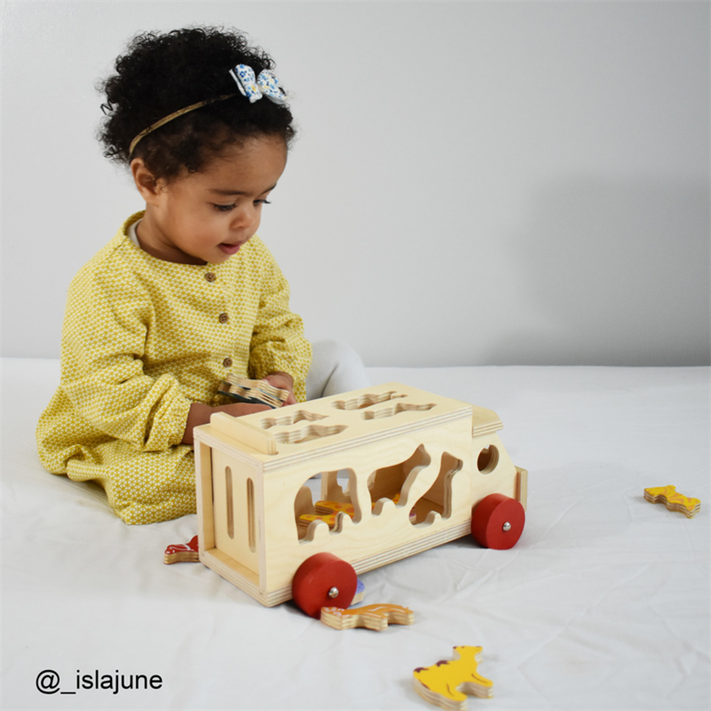 Bigjigs - Animal Shape Truck - Toy Dubai (Toys MENA LLC)
