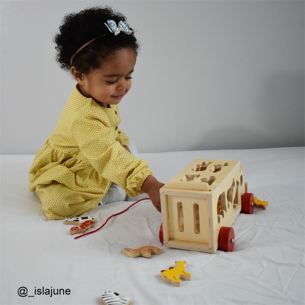 Bigjigs - Animal Shape Truck - Toy Dubai (Toys MENA LLC)