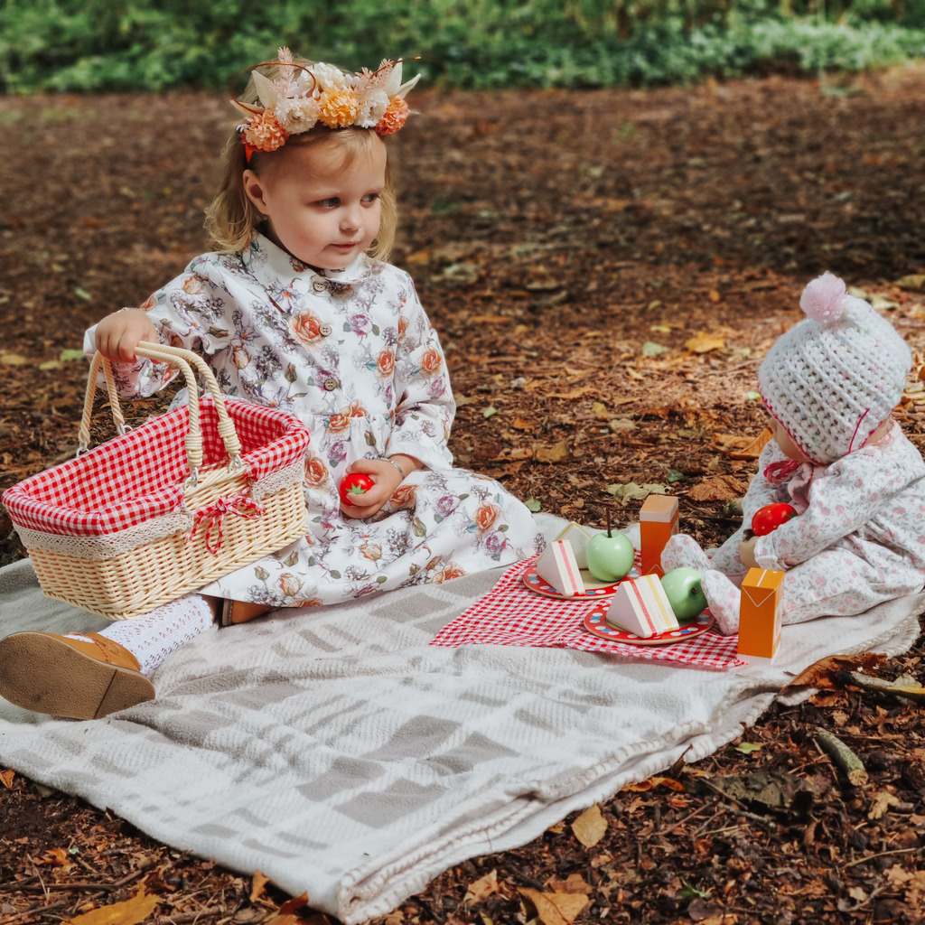 Bigjigs - Picnic Basket Set - Toy Dubai (Toys MENA LLC)