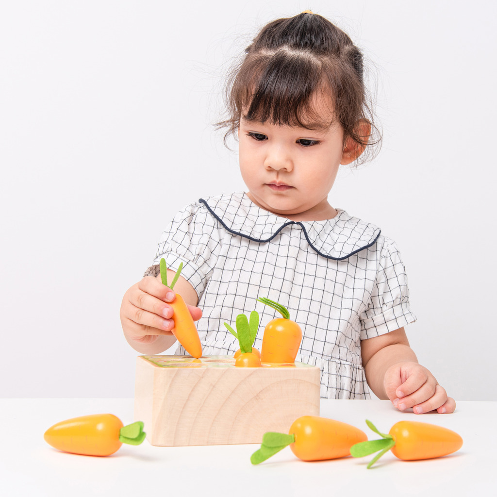 Carrot Picking Game - Toy Dubai (Toys MENA LLC)