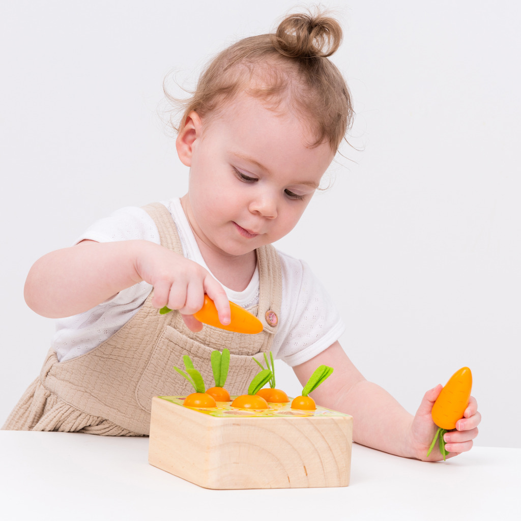 Carrot Picking Game - Toy Dubai (Toys MENA LLC)