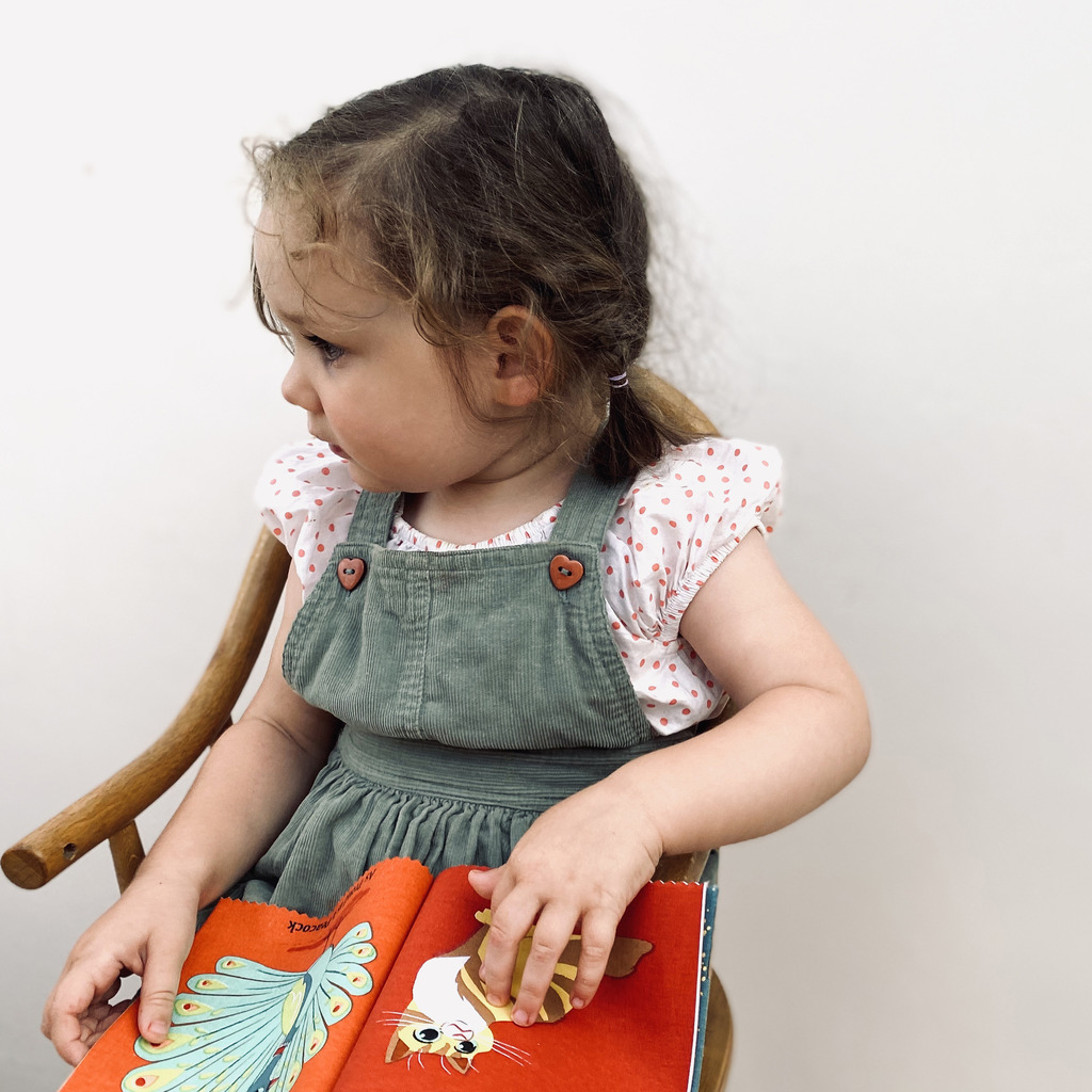 As Brave as a Bear Rag Book - Toy Dubai (Toys MENA LLC)