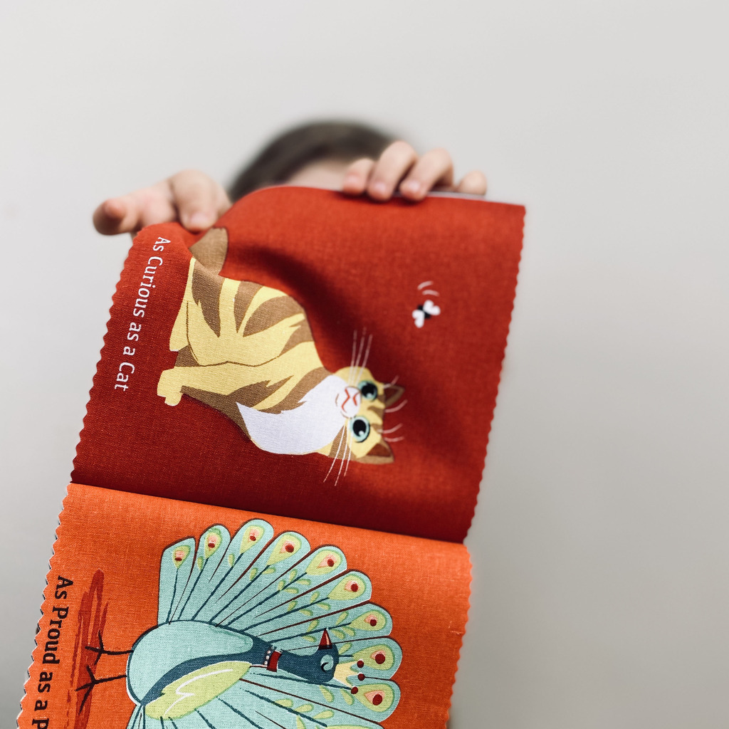 As Brave as a Bear Rag Book - Toy Dubai (Toys MENA LLC)