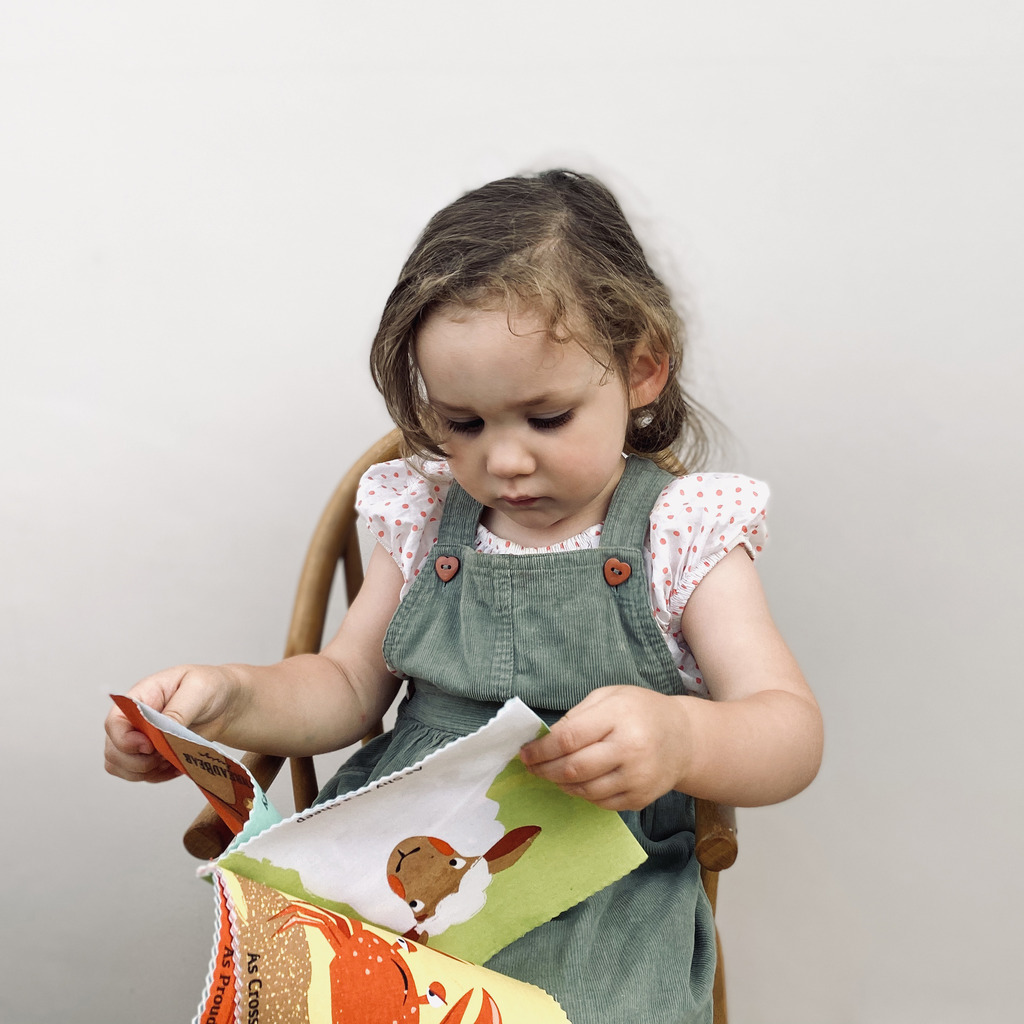 As Brave as a Bear Rag Book - Toy Dubai (Toys MENA LLC)