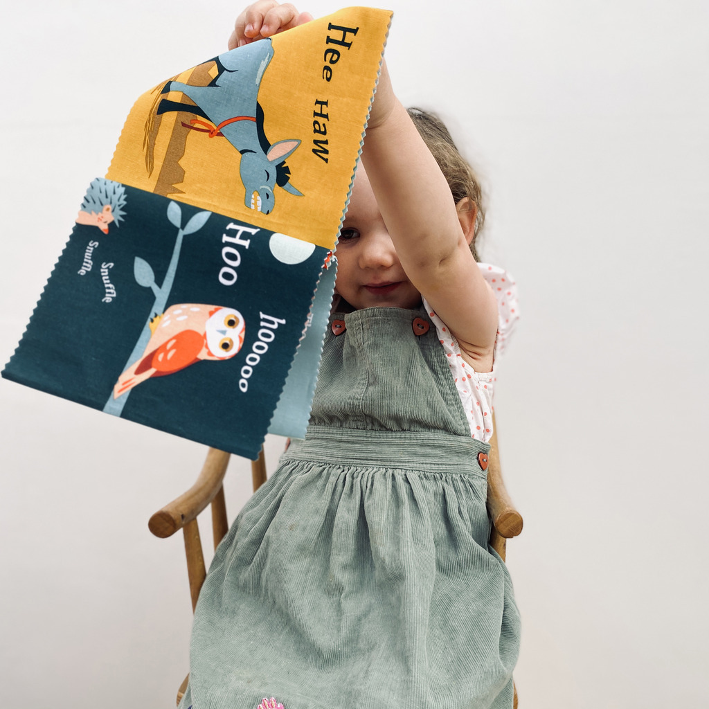 As Brave as a Bear Rag Book - Toy Dubai (Toys MENA LLC)
