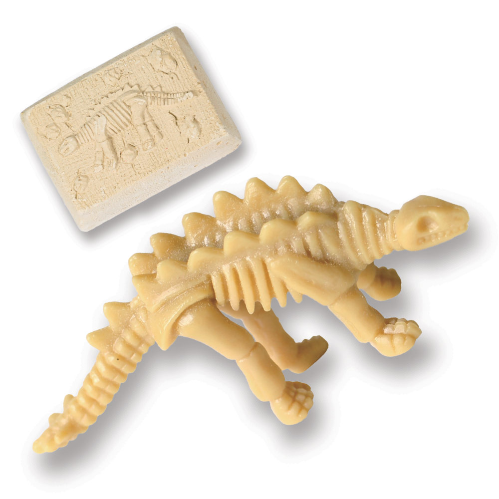 Mad Toys Dinosaur 5 Skeleton Fossils Dig Excavation Science Kit - Toy ...
