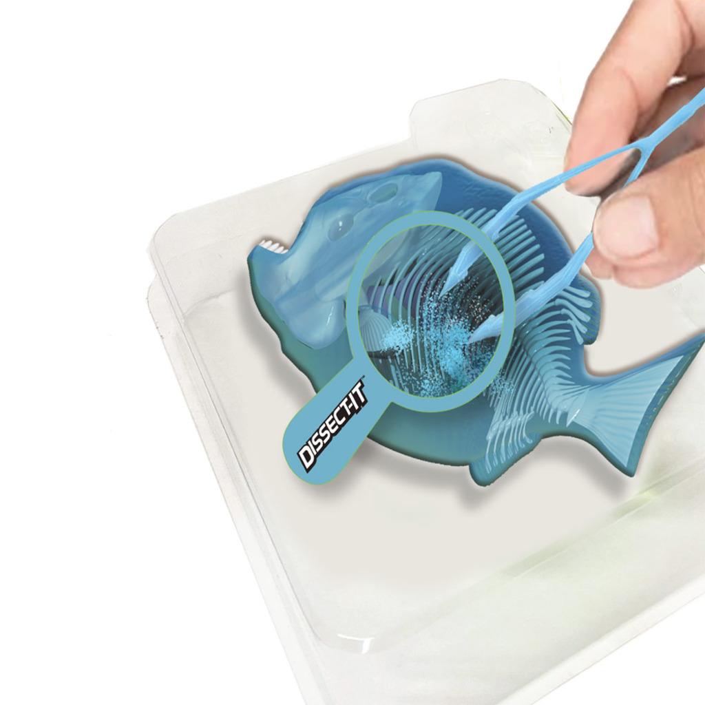 Slimy Dissect-it-in Gift Box Set Piranha Experiment STEM Toy - Toy ...