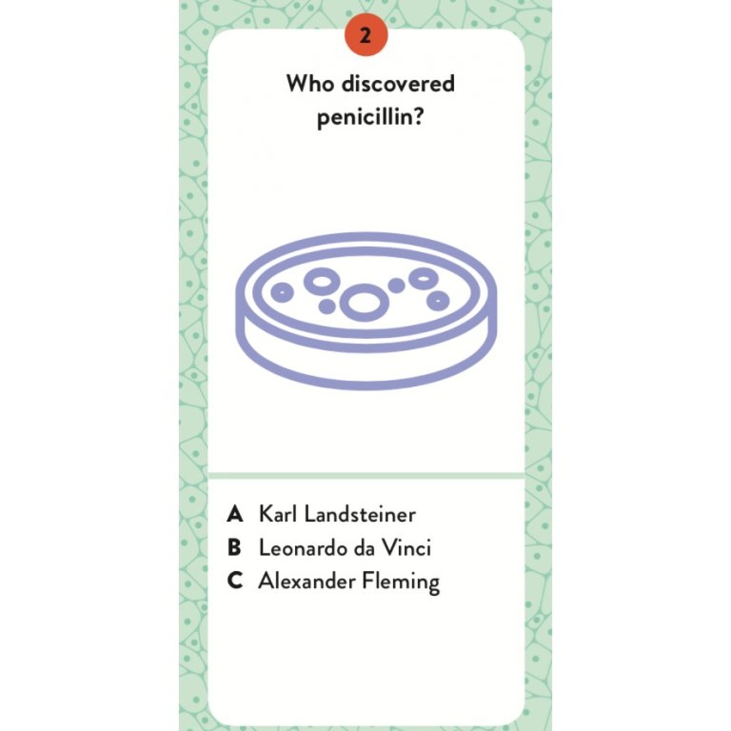 Sassi - The Ultimate Atlas Human Body Activity Box - Toy Dubai (Toys ...