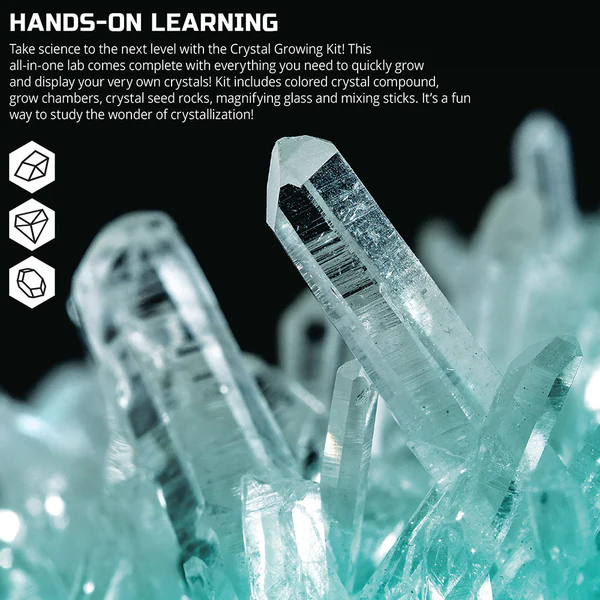 Discovery Mindblown 12-Piece Lab Crystal Growing Kit - Toy Dubai (Toys ...