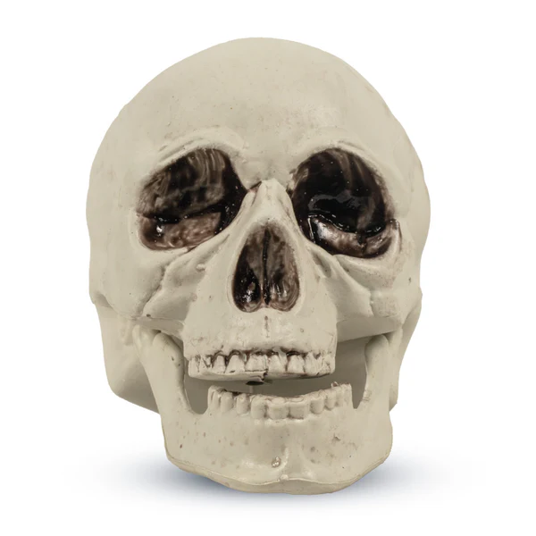 Mad Toys Life Size Groundbreaker for Graveyard Skeleton Outdoor ...